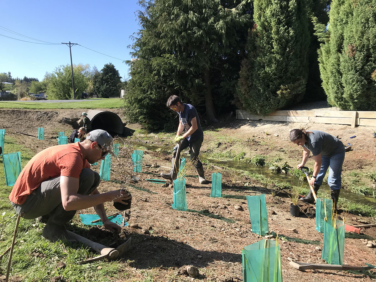Spring planting at Lumsden Creek - Northern Southland Reforestation Trust