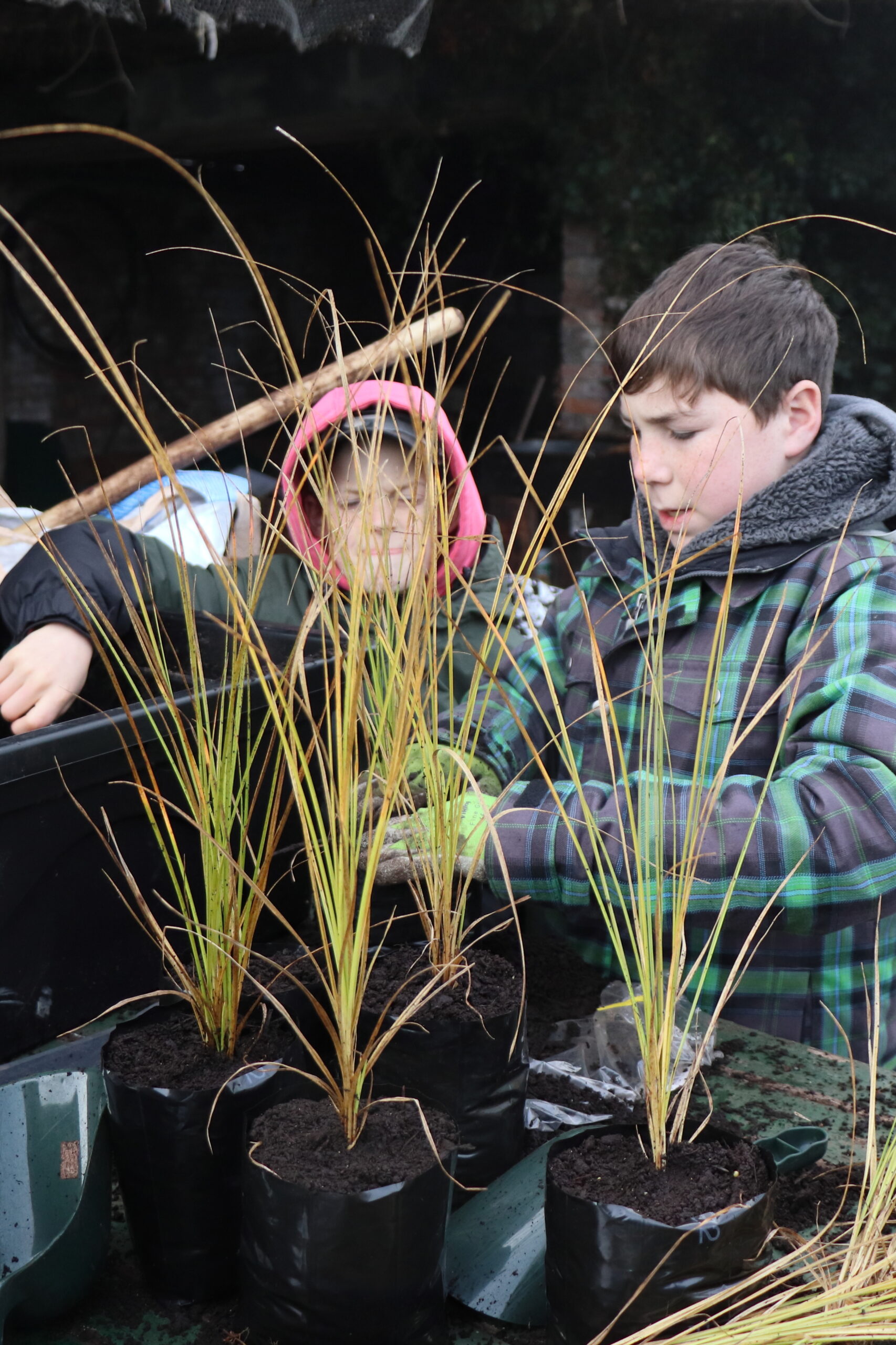 Reforest Northern Southland - A Native Tree Reforestation Project