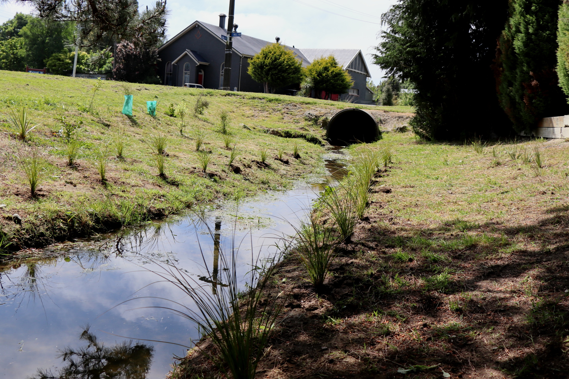 The vision for the Lumsden Creek - Northern Southland Reforestation Trust