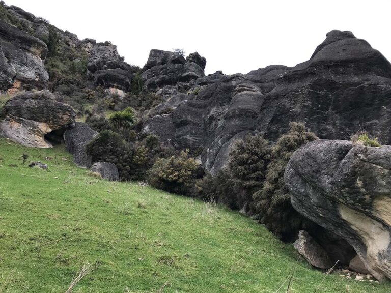 Southland's Natural Heritage - Northern Southland Reforestation Trust